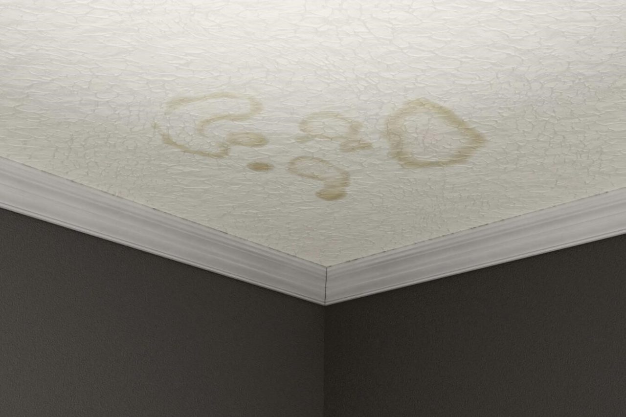 Ceiling Water Spots - Renovo